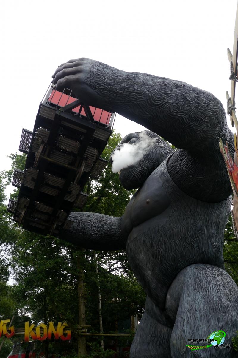 King Kong - Bobbejaanland | Freizeitpark-Welt.de