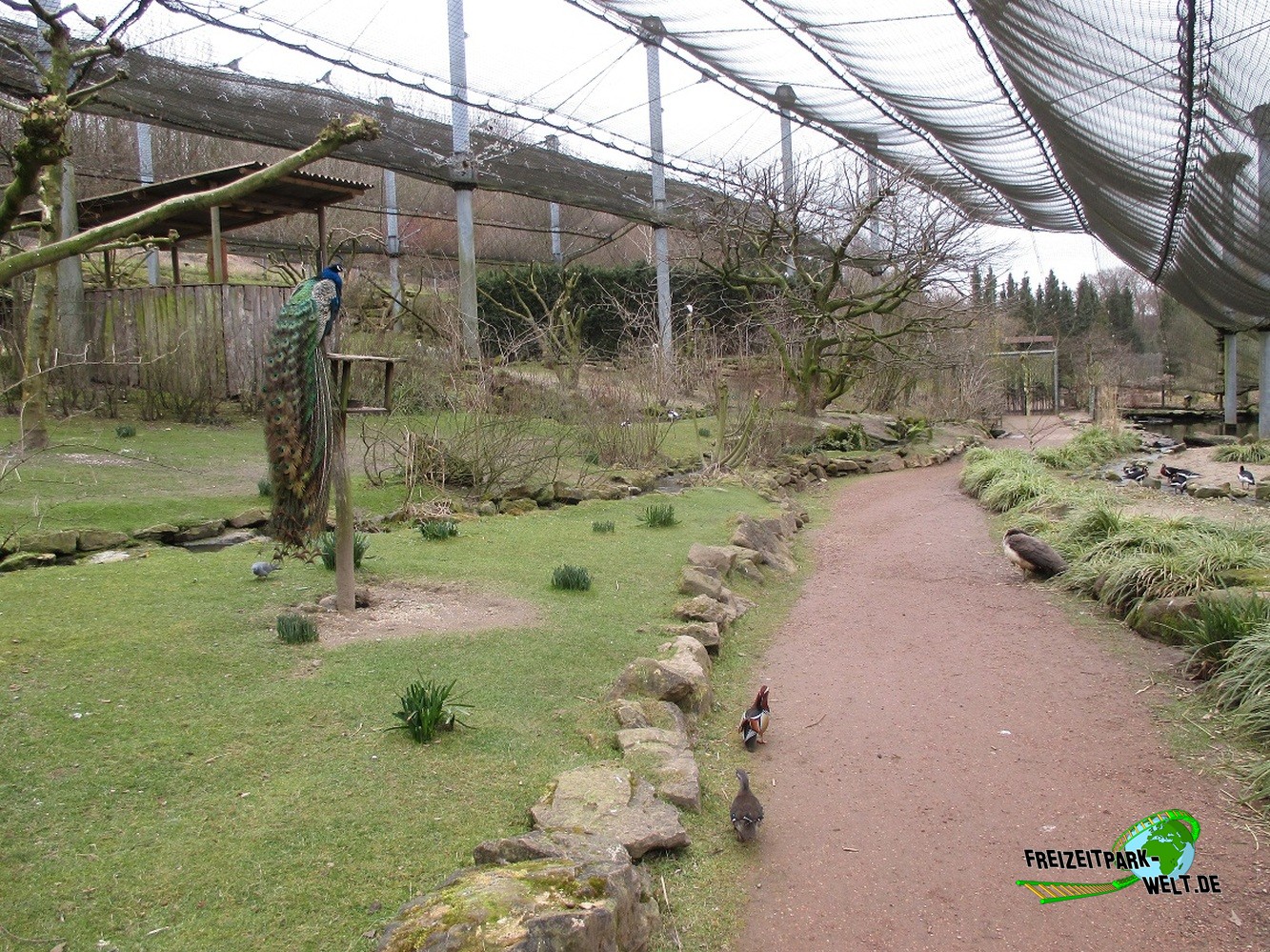 Mondo Verde - Highlights, Tipps & Review zum Besuch im Freizeitpark ...