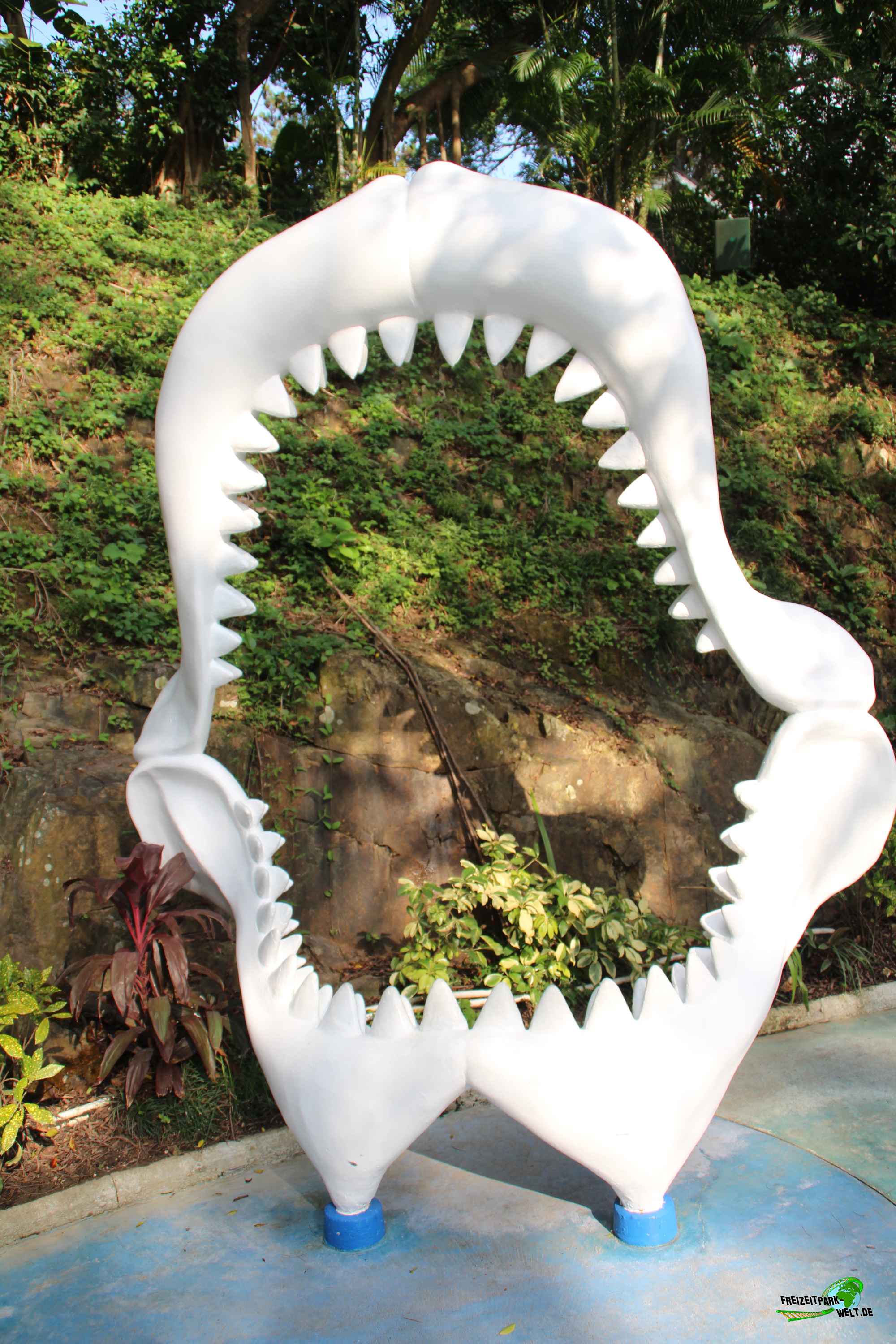 Shark Mystique - Ocean Park HongKong | Freizeitpark-Welt.de