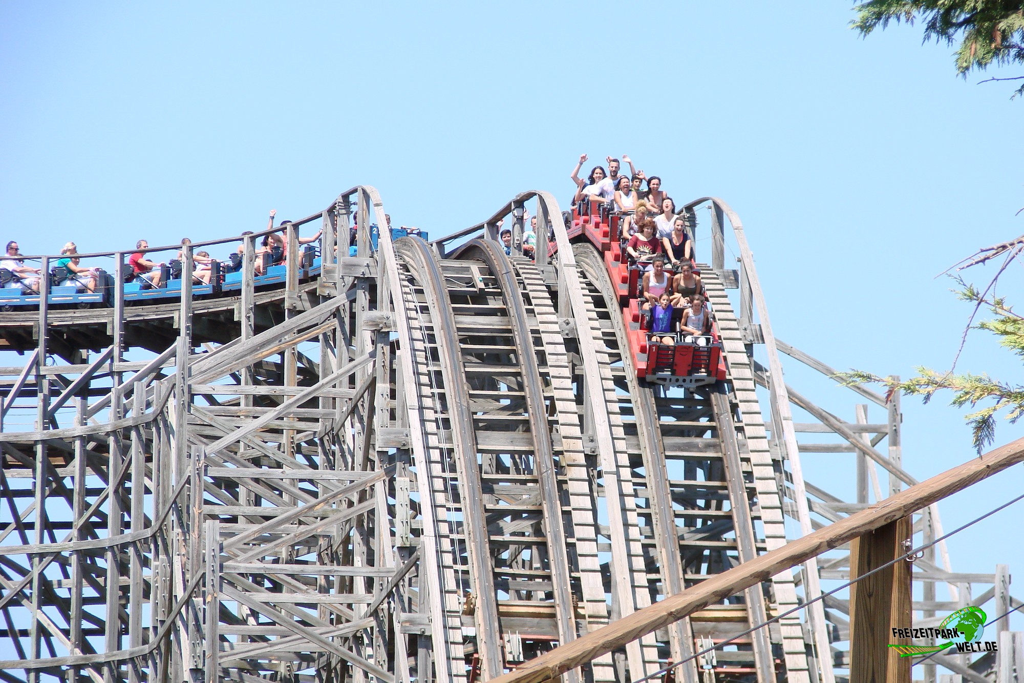 Stampida - Port Aventura | Freizeitpark-Welt.de