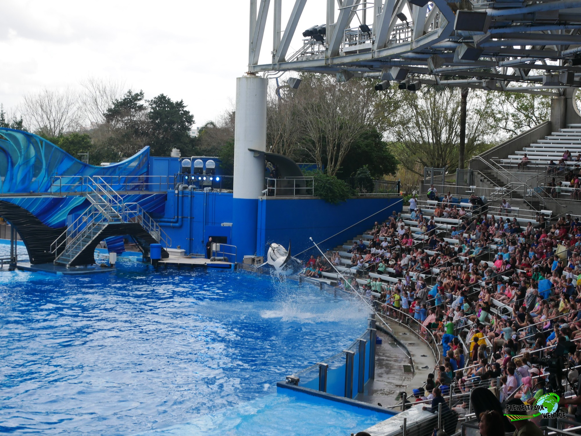 One Ocean - Seaworld Orlando | Freizeitpark-Welt.de