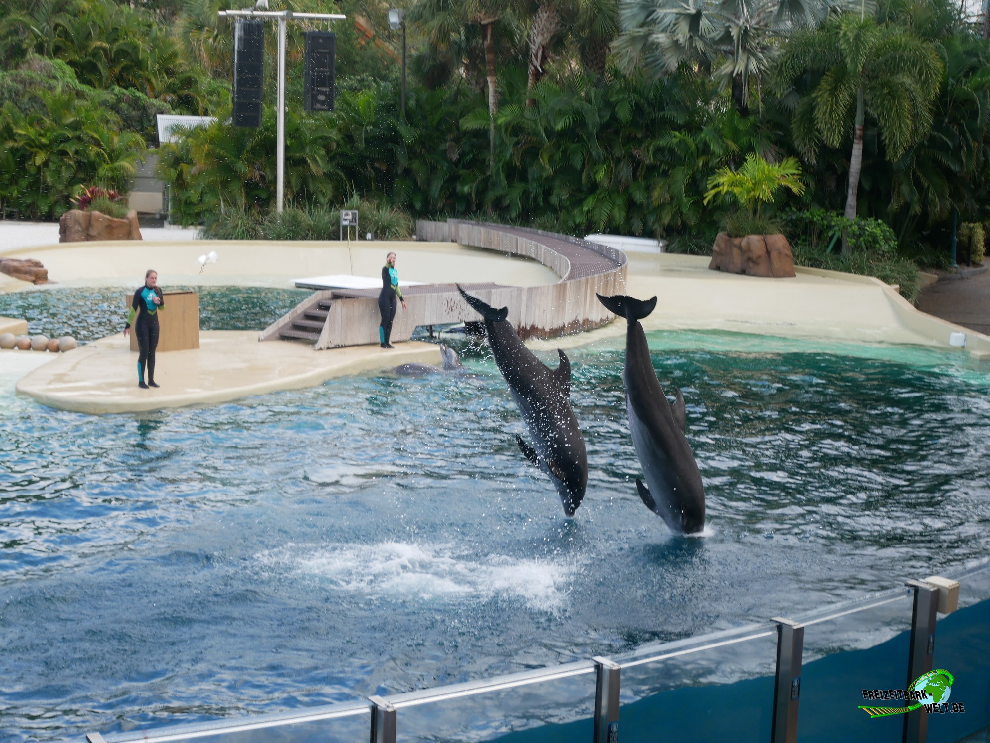 Foto Galerie 2022 - Seaworld Orlando | Freizeitpark-Welt.de