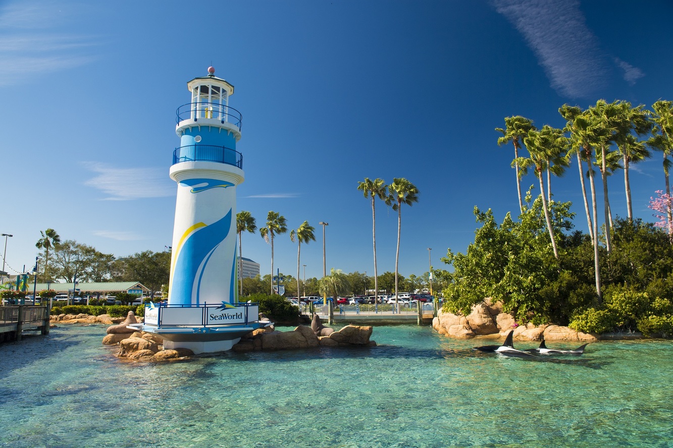 News und Events - Seaworld Orlando | Freizeitpark-Welt.de