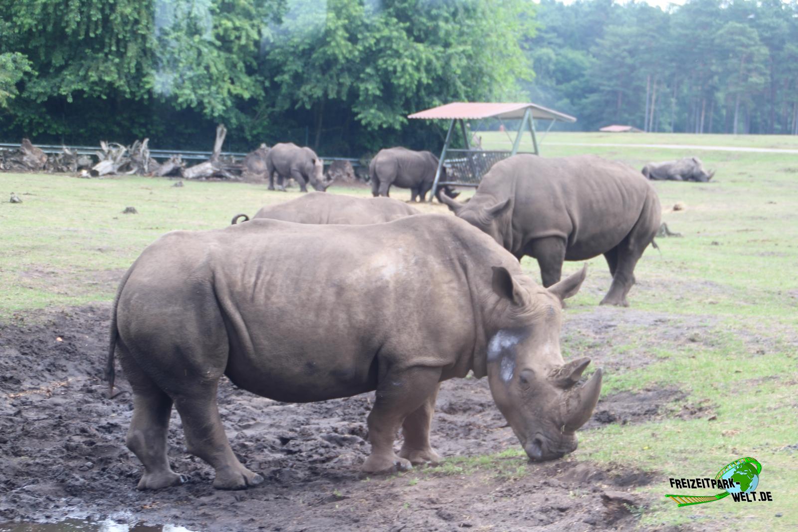 Ein Tag im Serengeti-Park Hodenhagen - Serengeti-Park