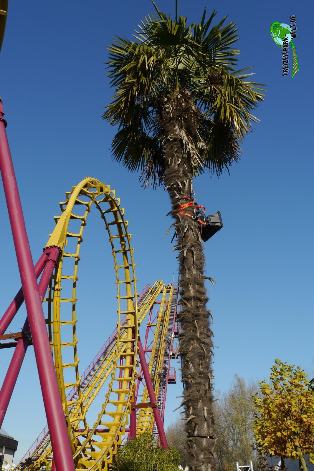 Cobra - Walibi Belgium | Freizeitpark-Welt.de