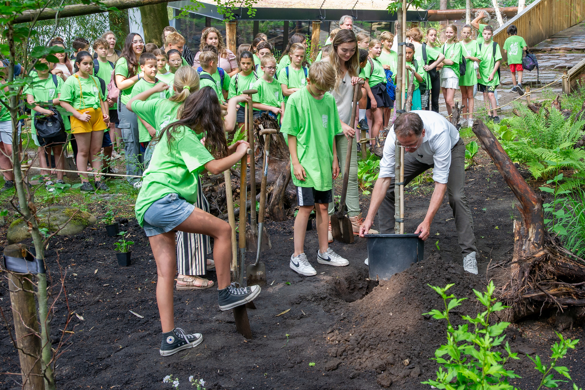 Apenheul eröffnet neues Areal mit freilaufenden Affen - Apenheul