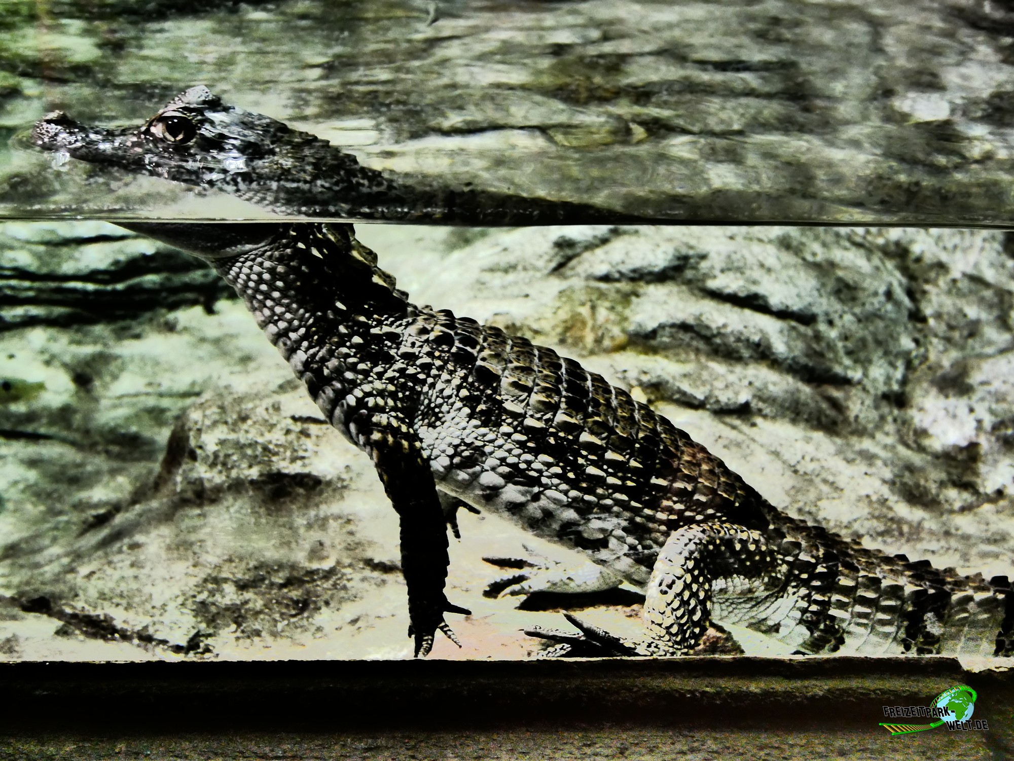 Sevilla Aquarium - Highlights & Tipps zum Besuch | Freizeitpark-Welt.de