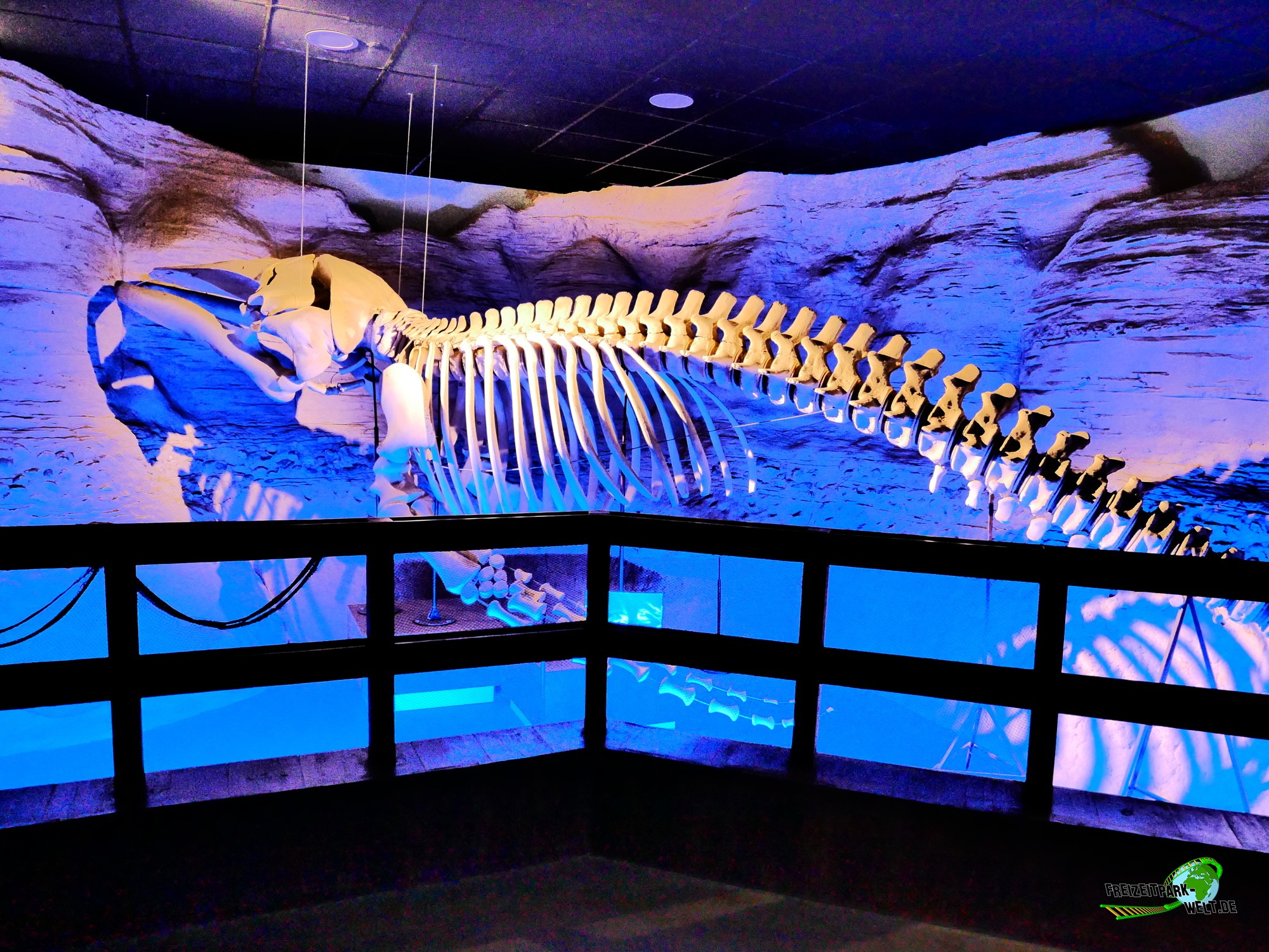 Sevilla Aquarium - Highlights & Tipps zum Besuch | Freizeitpark-Welt.de
