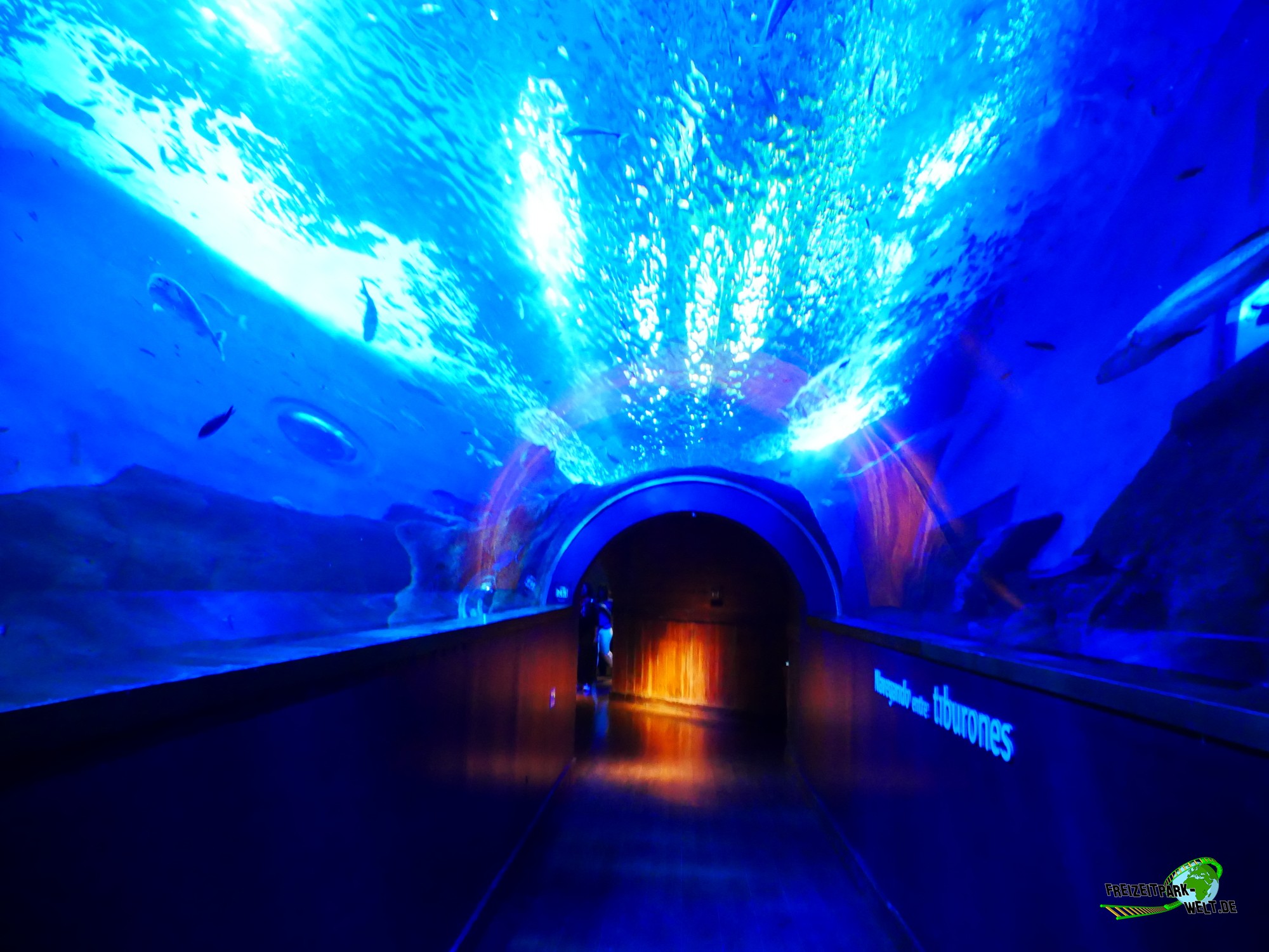 Foto Galerien - Sevilla Aquarium | Freizeitpark-Welt.de