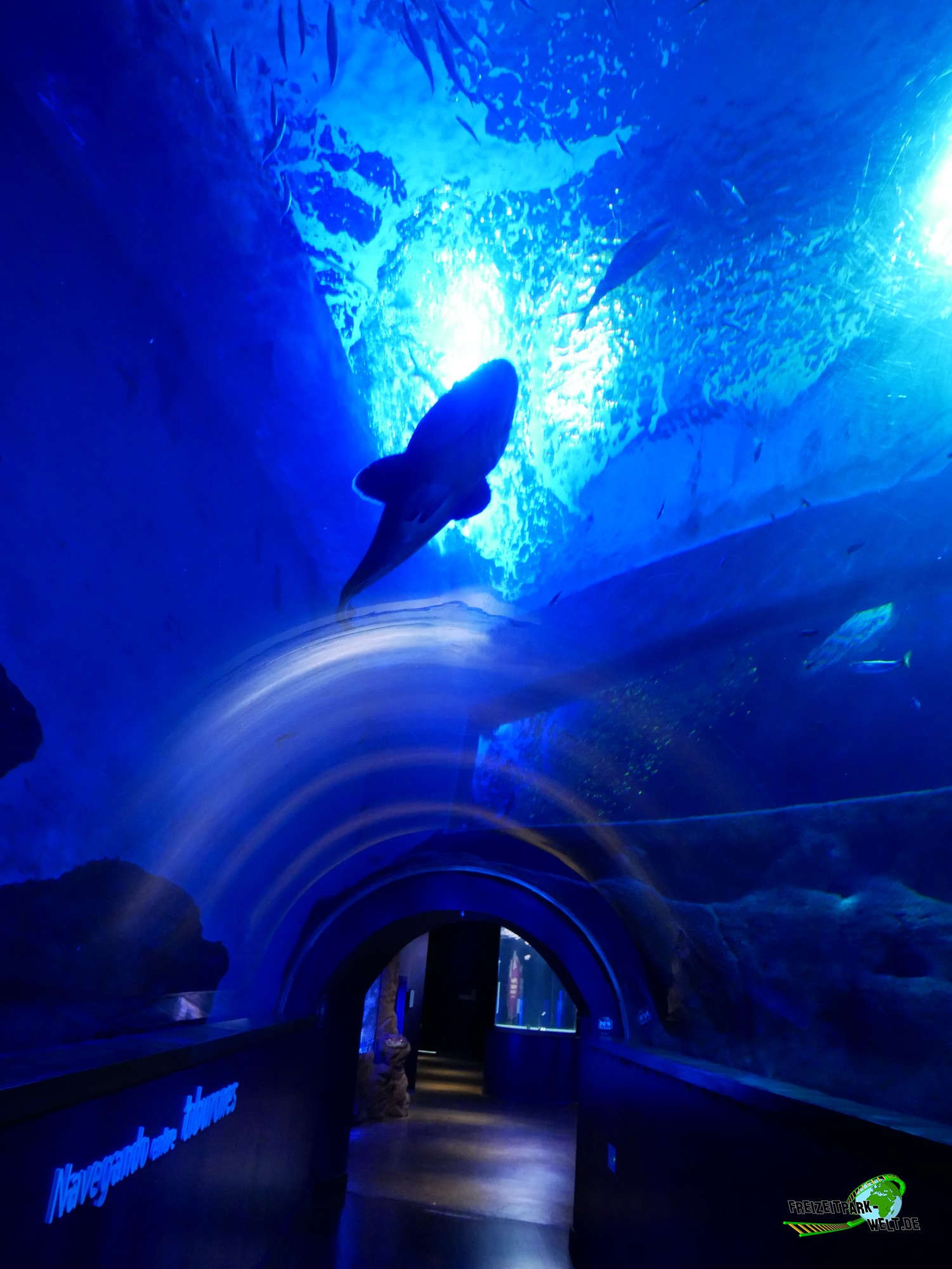 Foto Galerien - Sevilla Aquarium | Freizeitpark-Welt.de