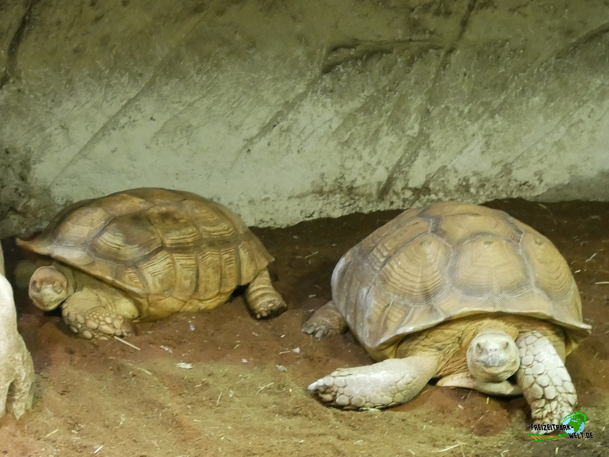 Sevilla Aquarium - Highlights & Tipps zum Besuch | Freizeitpark-Welt.de