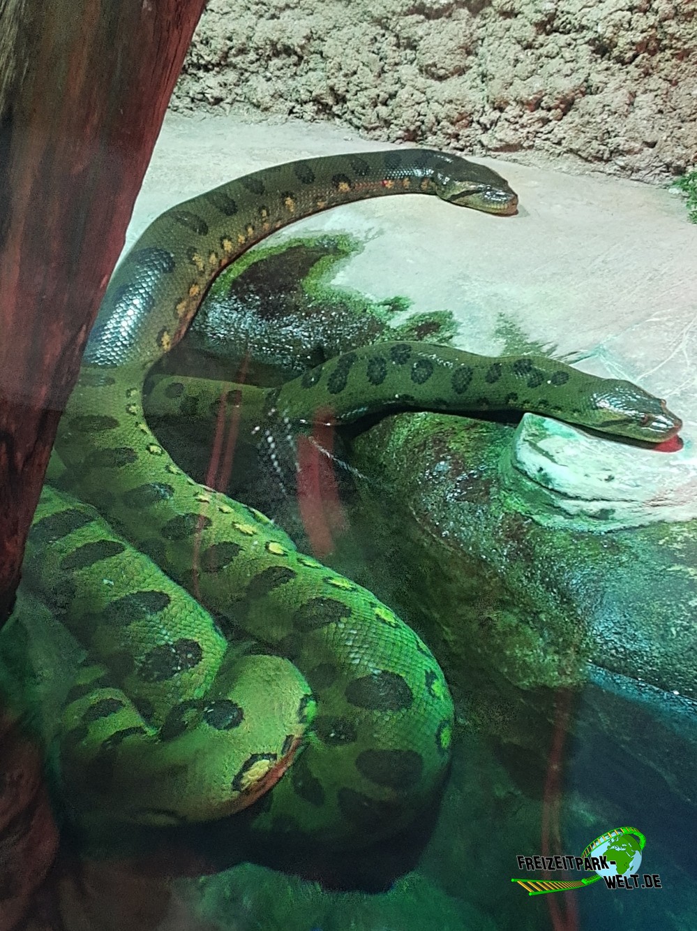 Sevilla Aquarium - Highlights & Tipps zum Besuch | Freizeitpark-Welt.de