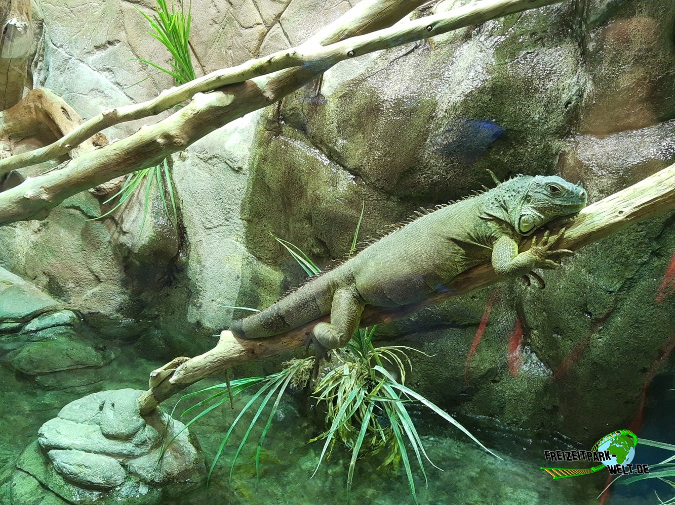 Sevilla Aquarium - Highlights & Tipps zum Besuch | Freizeitpark-Welt.de