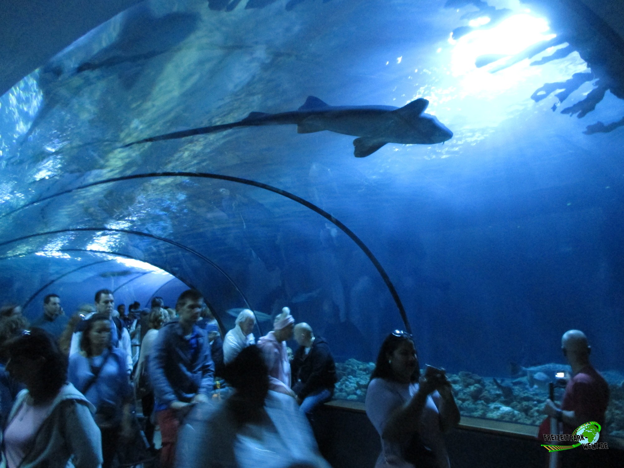 Rotterdam Zoo, Diergaarde Blijdorp Rotterdam - Highlights & Tipps zum ...