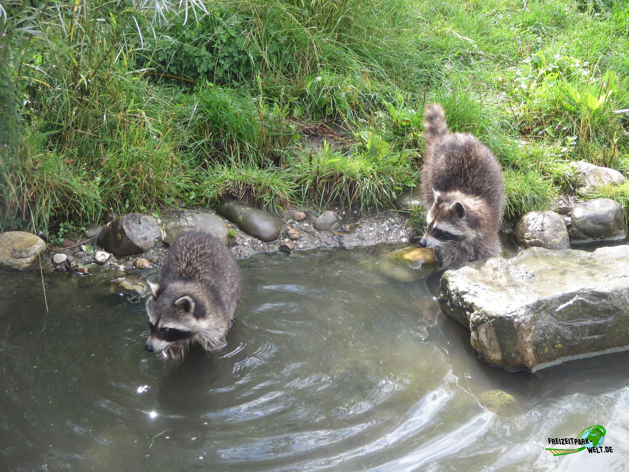 Rotterdam Zoo, Diergaarde Blijdorp Rotterdam - Highlights & Tipps zum ...
