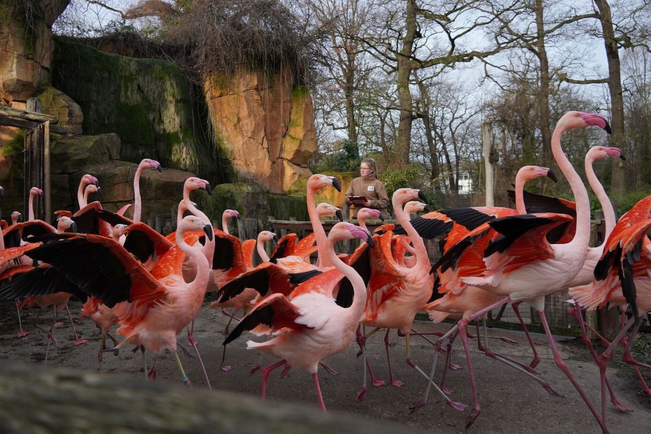 Tierische Inventur im Erlebnis-Zoo Hannover - Erlebnis-Zoo Hannover