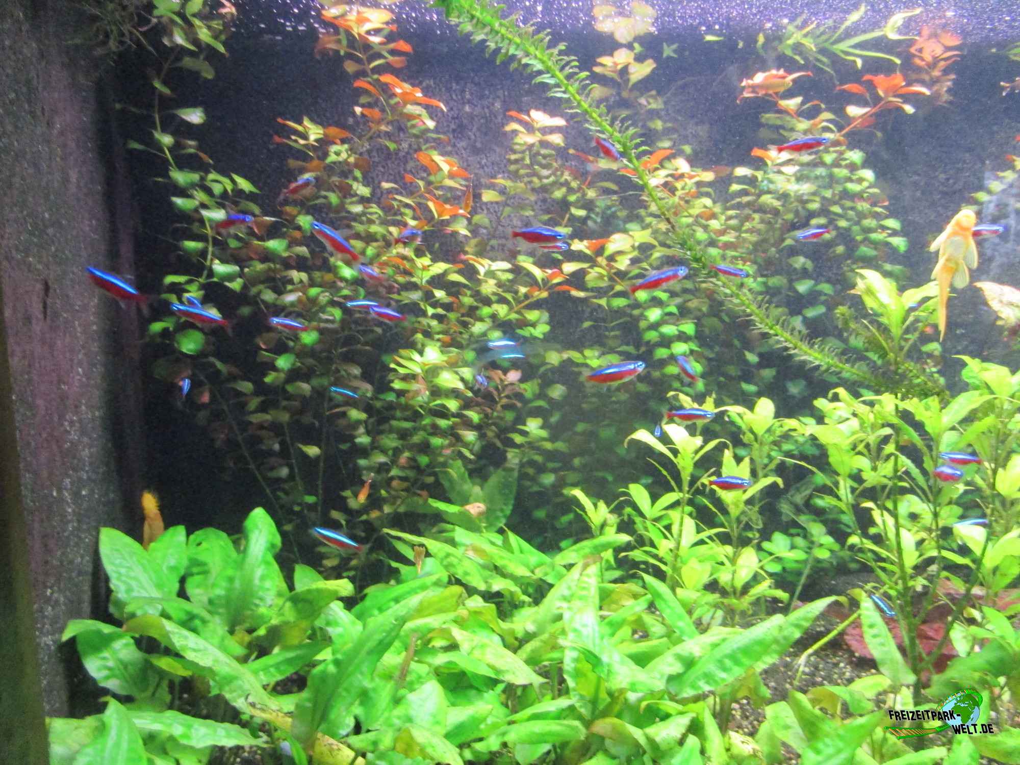 Foto Galerien - Mundenhof | Freizeitpark-Welt.de