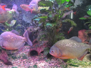 Foto Galerien - Mundenhof | Freizeitpark-Welt.de