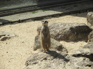 Mundenhof - Highlights & Tipps zum Besuch | Freizeitpark-Welt.de