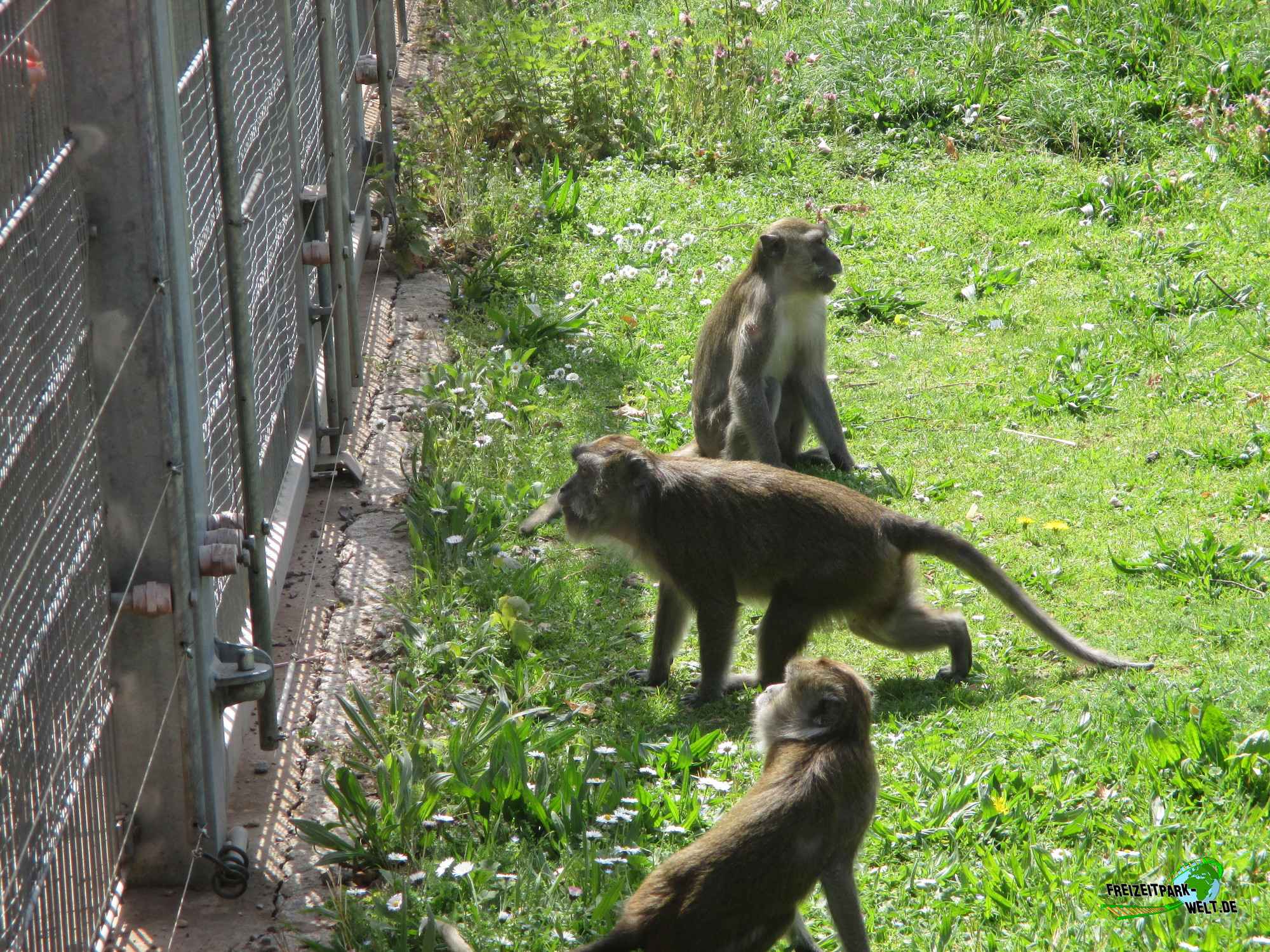 Foto Galerien - Mundenhof | Freizeitpark-Welt.de