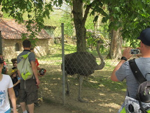 Foto Galerien - Mundenhof | Freizeitpark-Welt.de