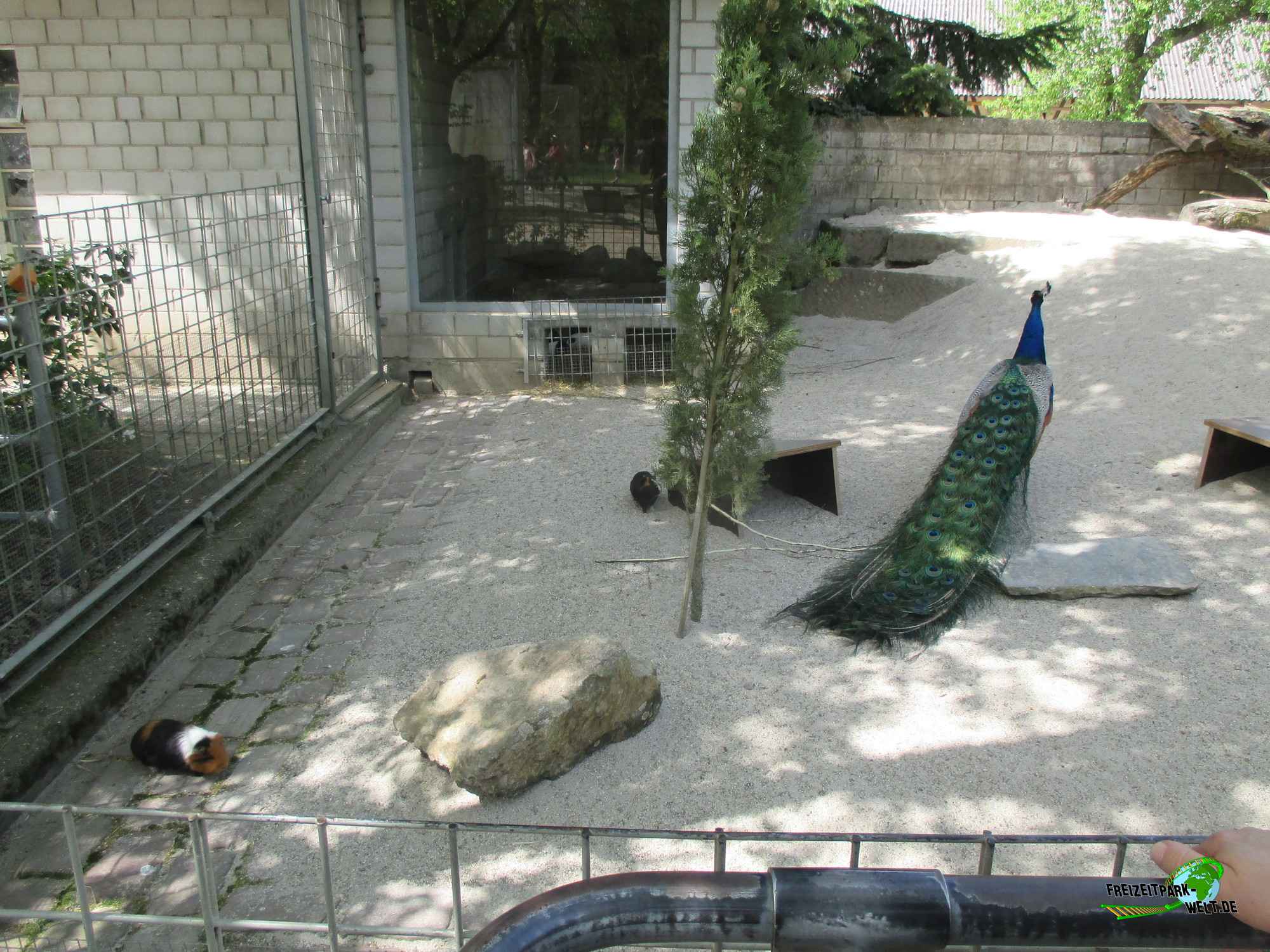 Foto Galerien - Mundenhof | Freizeitpark-Welt.de