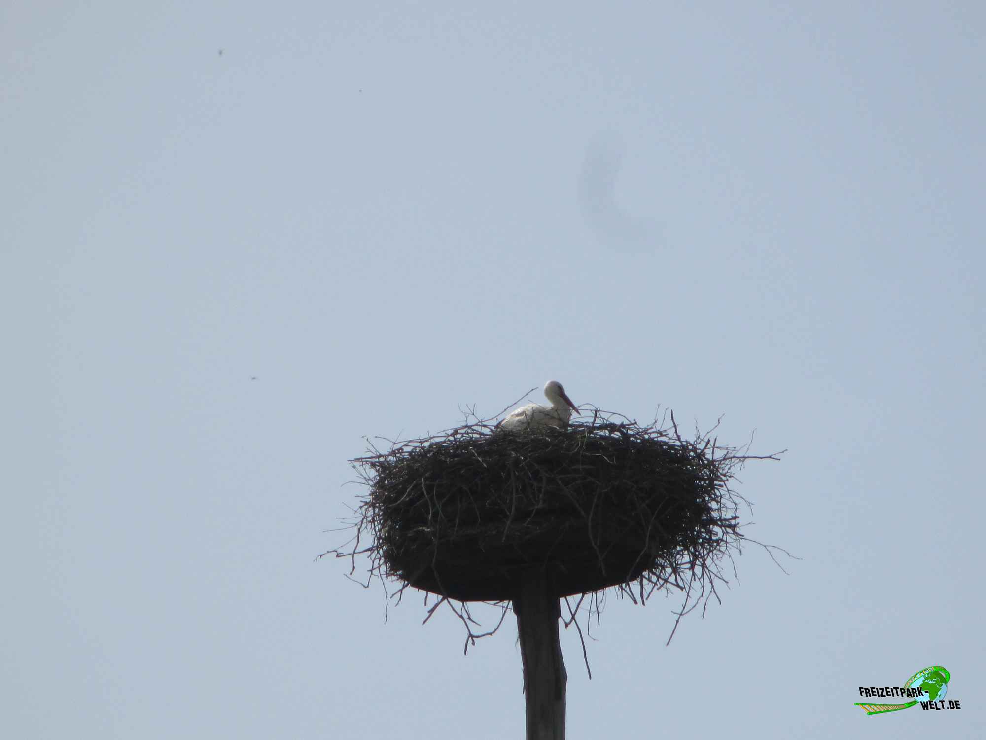 Foto Galerien - Mundenhof | Freizeitpark-Welt.de
