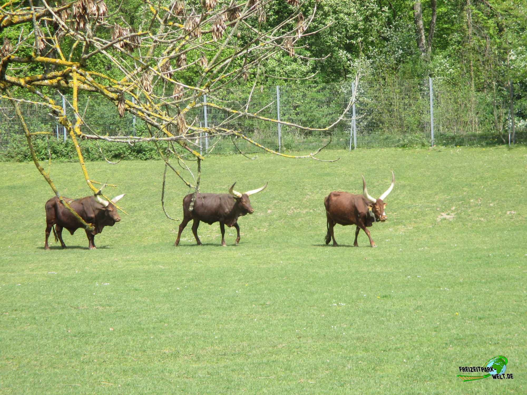Mundenhof - Highlights & Tipps zum Besuch | Freizeitpark-Welt.de