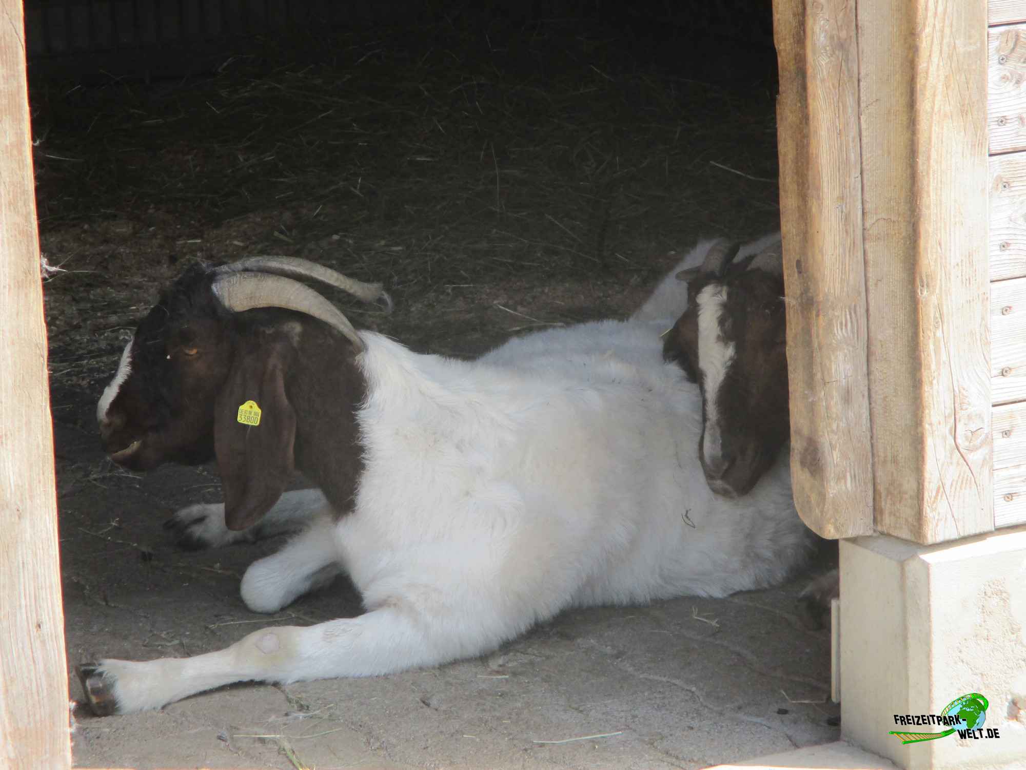 Foto Galerien - Mundenhof | Freizeitpark-Welt.de