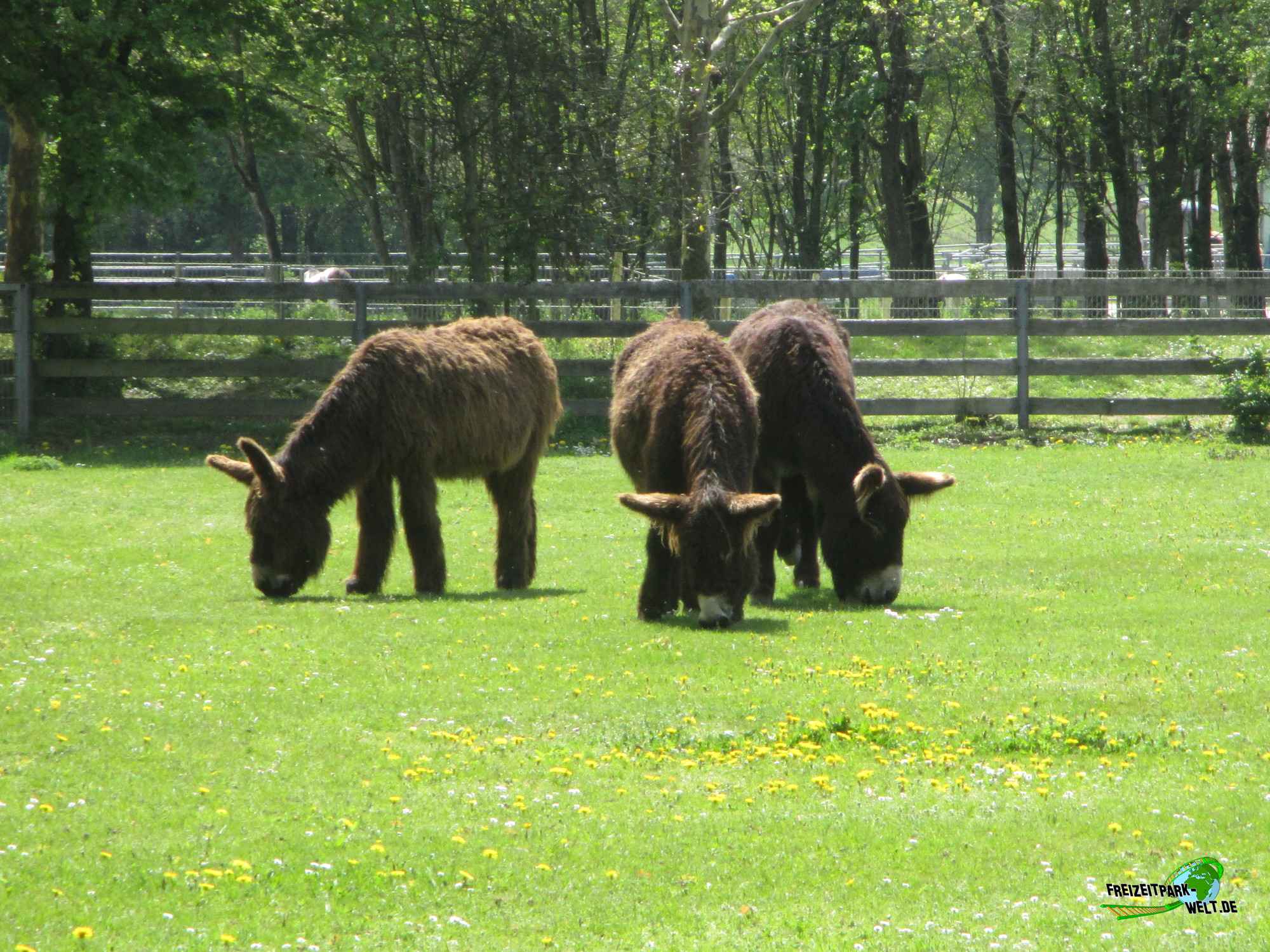 Foto Galerien - Mundenhof | Freizeitpark-Welt.de
