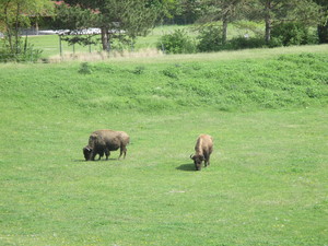 Foto Galerien - Mundenhof | Freizeitpark-Welt.de