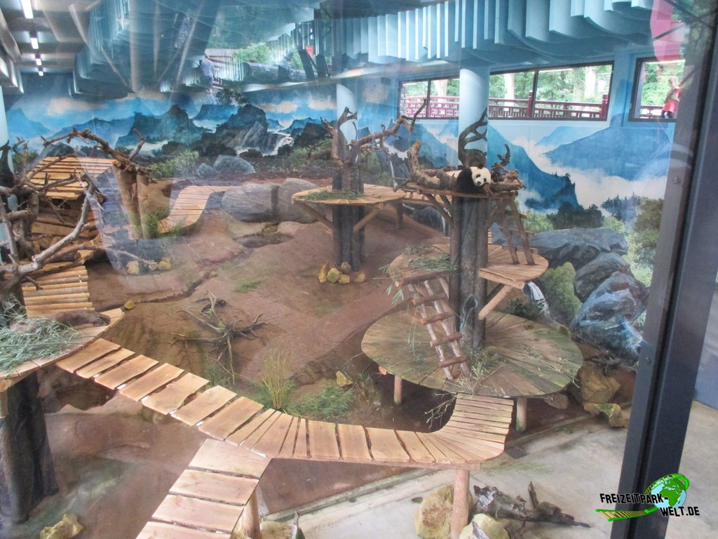 Großer Panda - Ouwehands Dierenpark | Freizeitpark-Welt.de