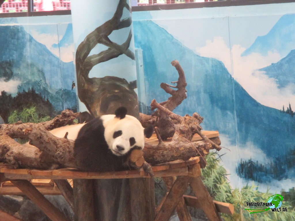 Ouwehands Dierenpark - Highlights & Tipps zum Besuch | Freizeitpark-Welt.de