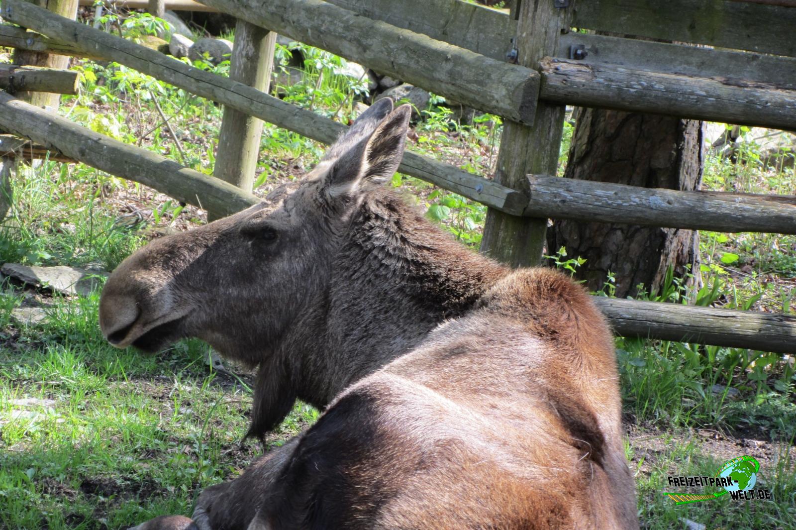 Elche - Skansen | Freizeitpark-Welt.de