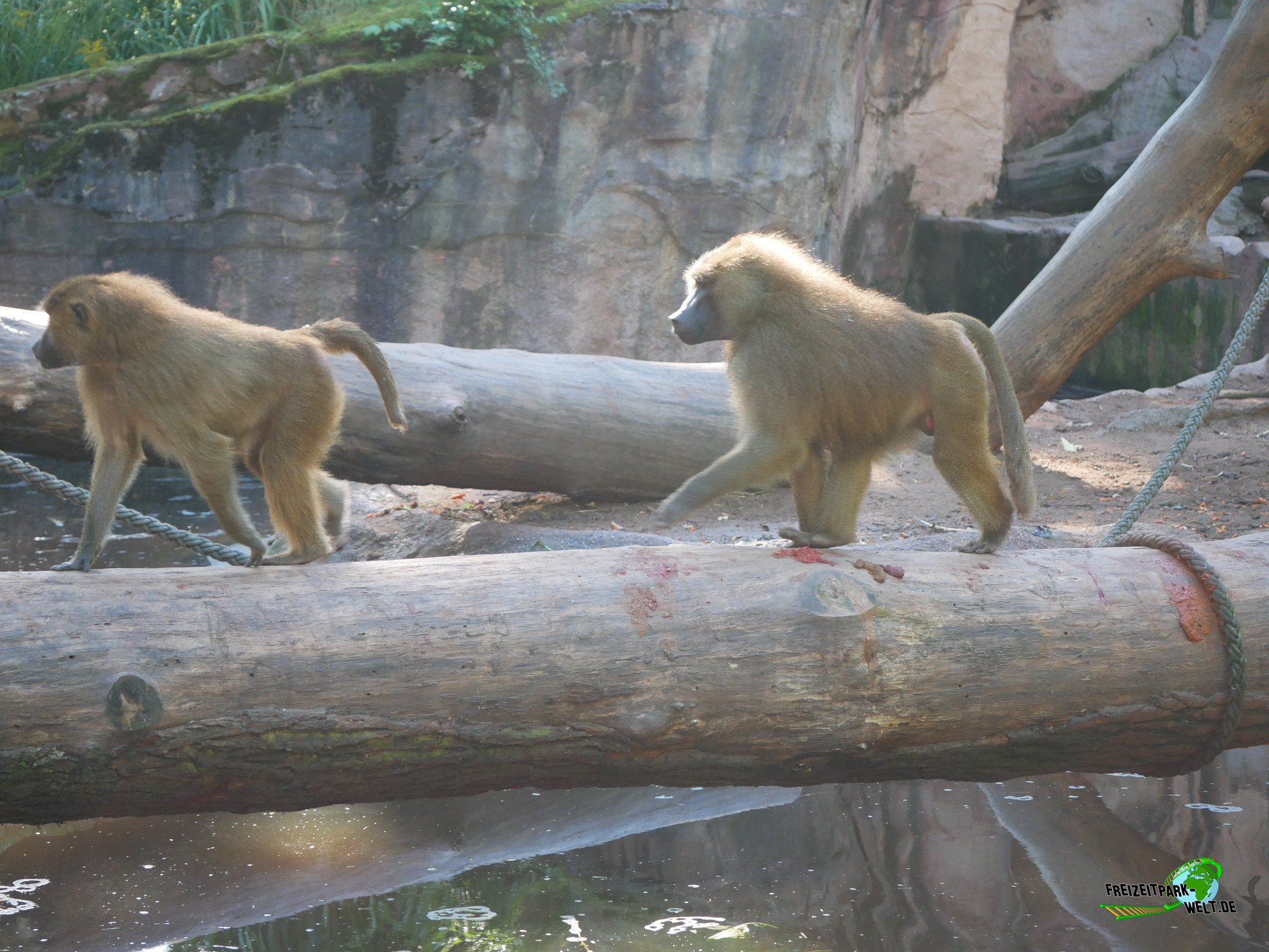 Foto Galerien - Tiergarten Nürnberg | Freizeitpark-Welt.de