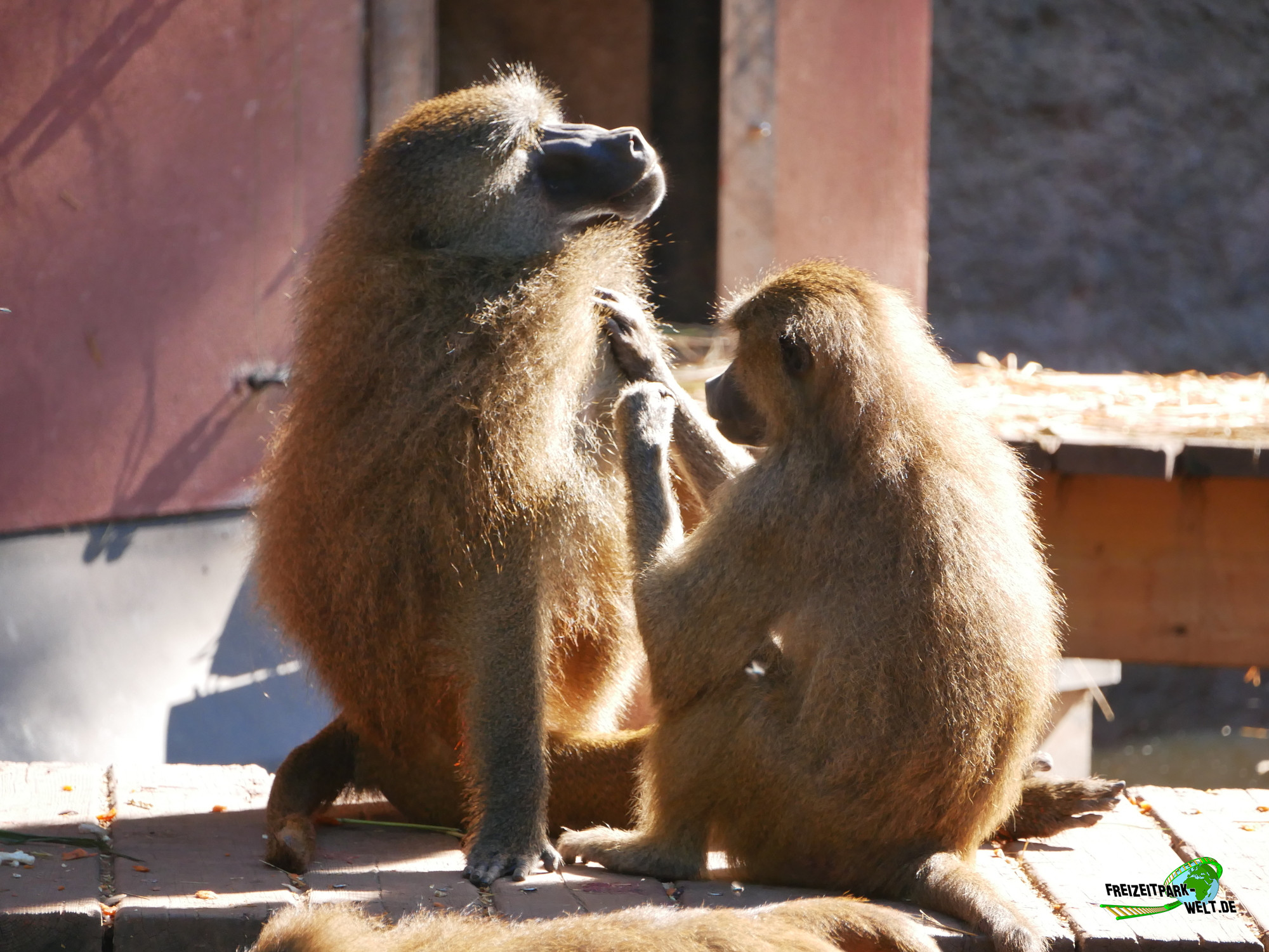 Tiergarten Nürnberg - Highlights & Tipps zum Besuch | Freizeitpark-Welt.de