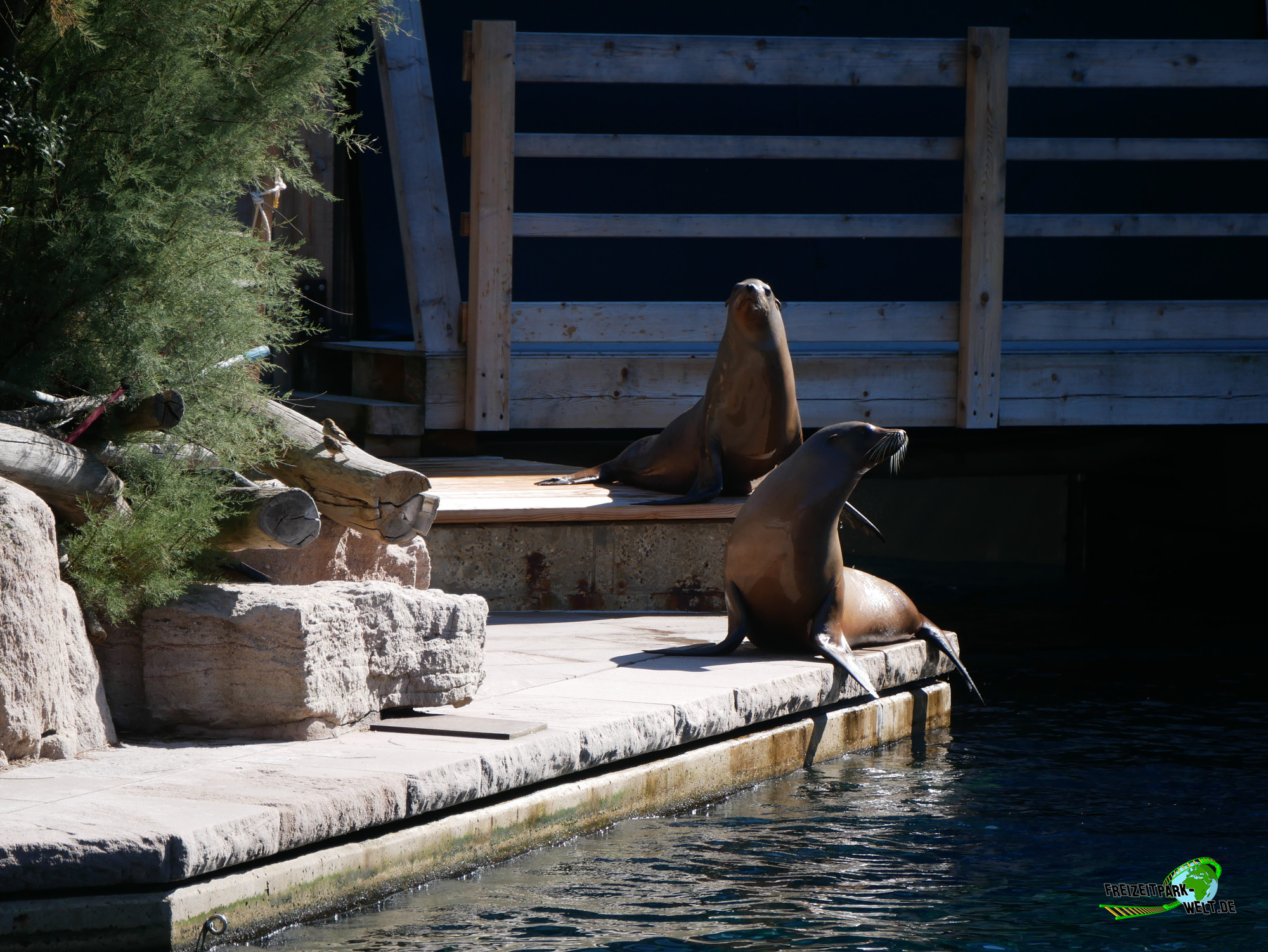 Tiergarten Nürnberg - Highlights & Tipps zum Besuch | Freizeitpark-Welt.de