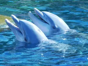 Karls Erlebnis-Dorf Plech - Highlights, Tipps & Review zum Besuch im ...