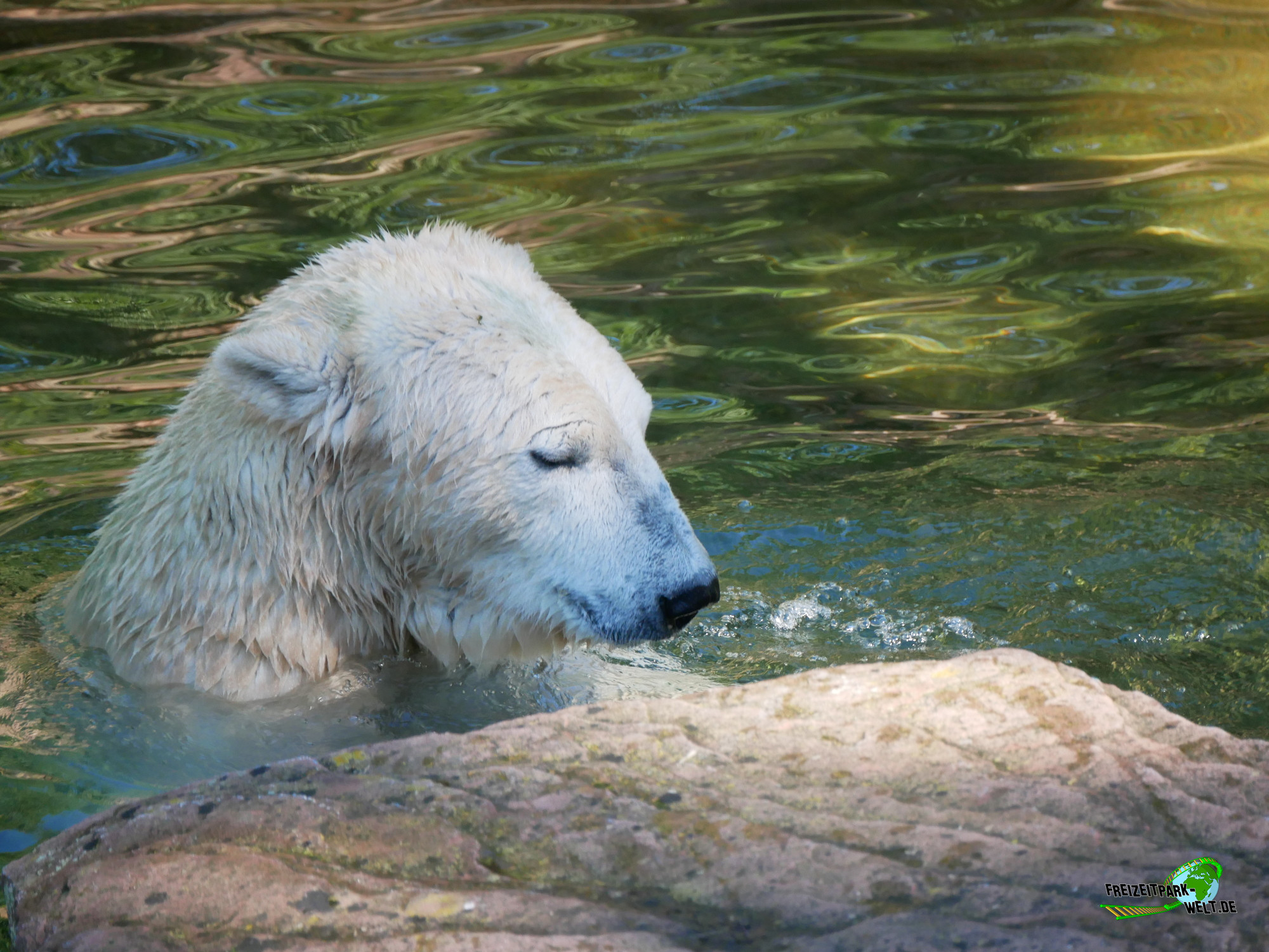 Foto Galerien - Tiergarten Nürnberg | Freizeitpark-Welt.de