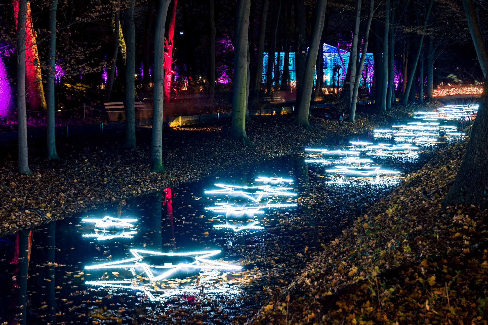 Weihnachten im Tierpark erstrahlt schon bald erneut mit spektakulären ...