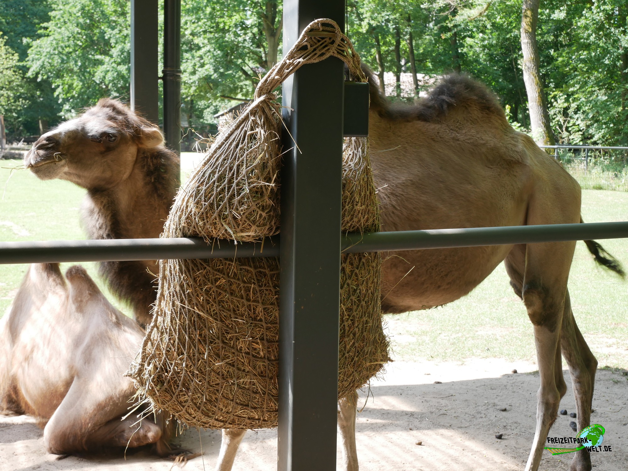 Foto Galerie 2020 - Tierpark Cottbus | Freizeitpark-Welt.de