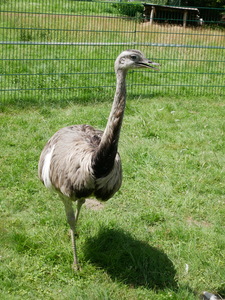 Foto Galerie 2020 - Tierpark Cottbus | Freizeitpark-Welt.de