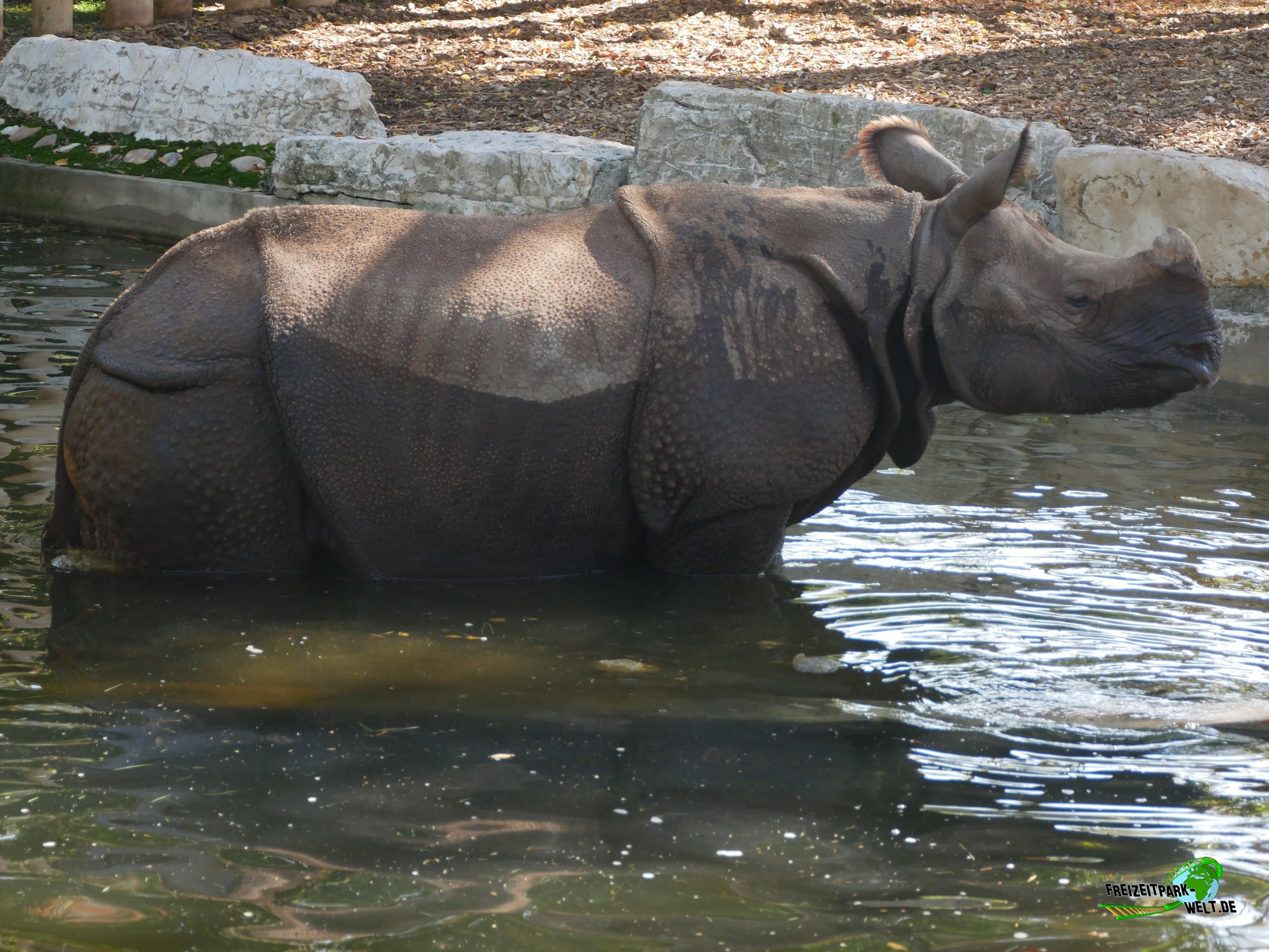 Ein Tag im Zoo Madrid - Zoo Madrid