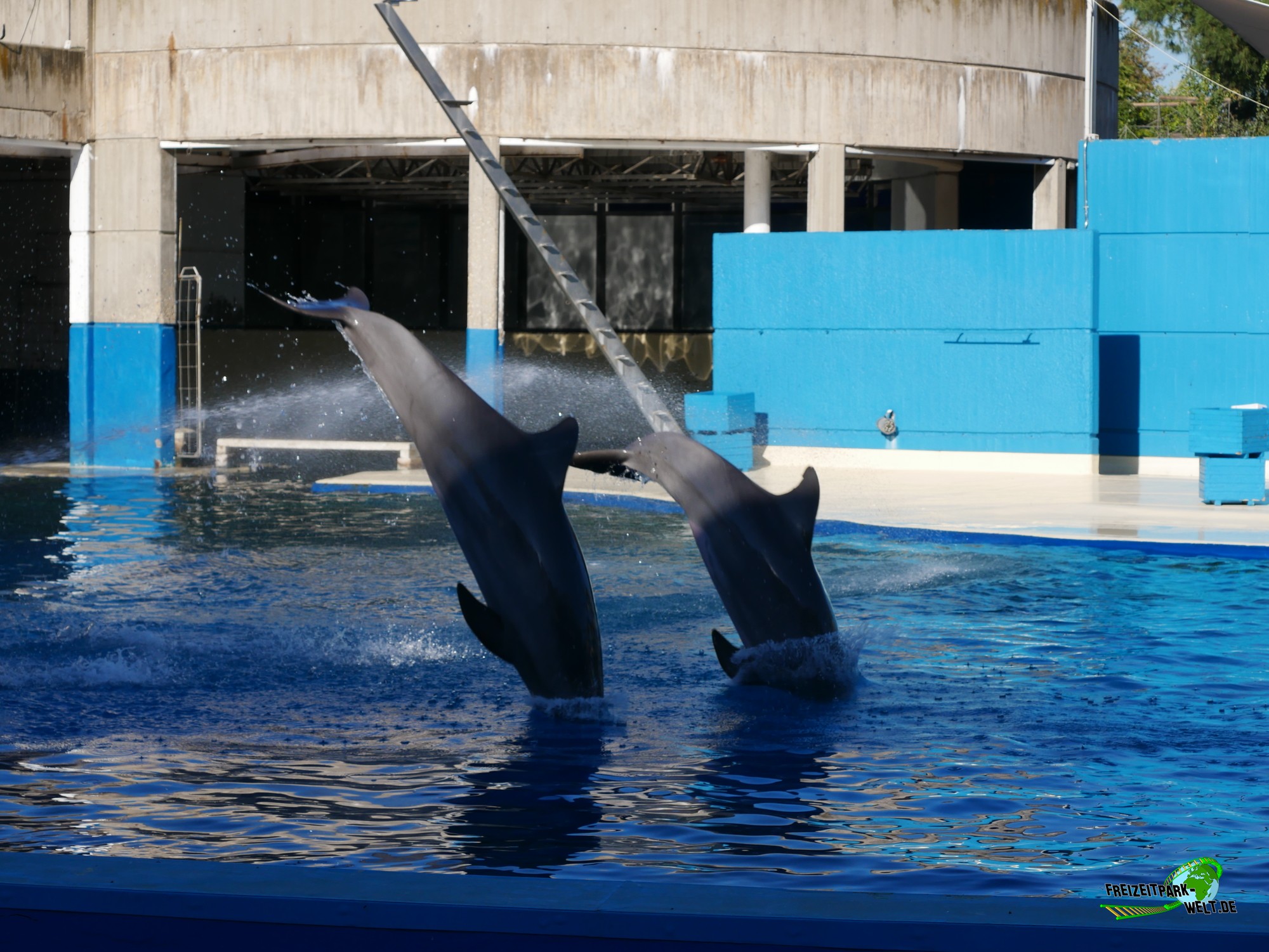 Foto Galerie 2021 - Zoo Madrid | Freizeitpark-Welt.de