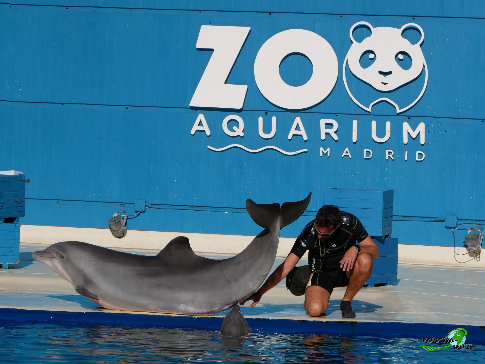 Ein Tag im Zoo Madrid - Zoo Madrid