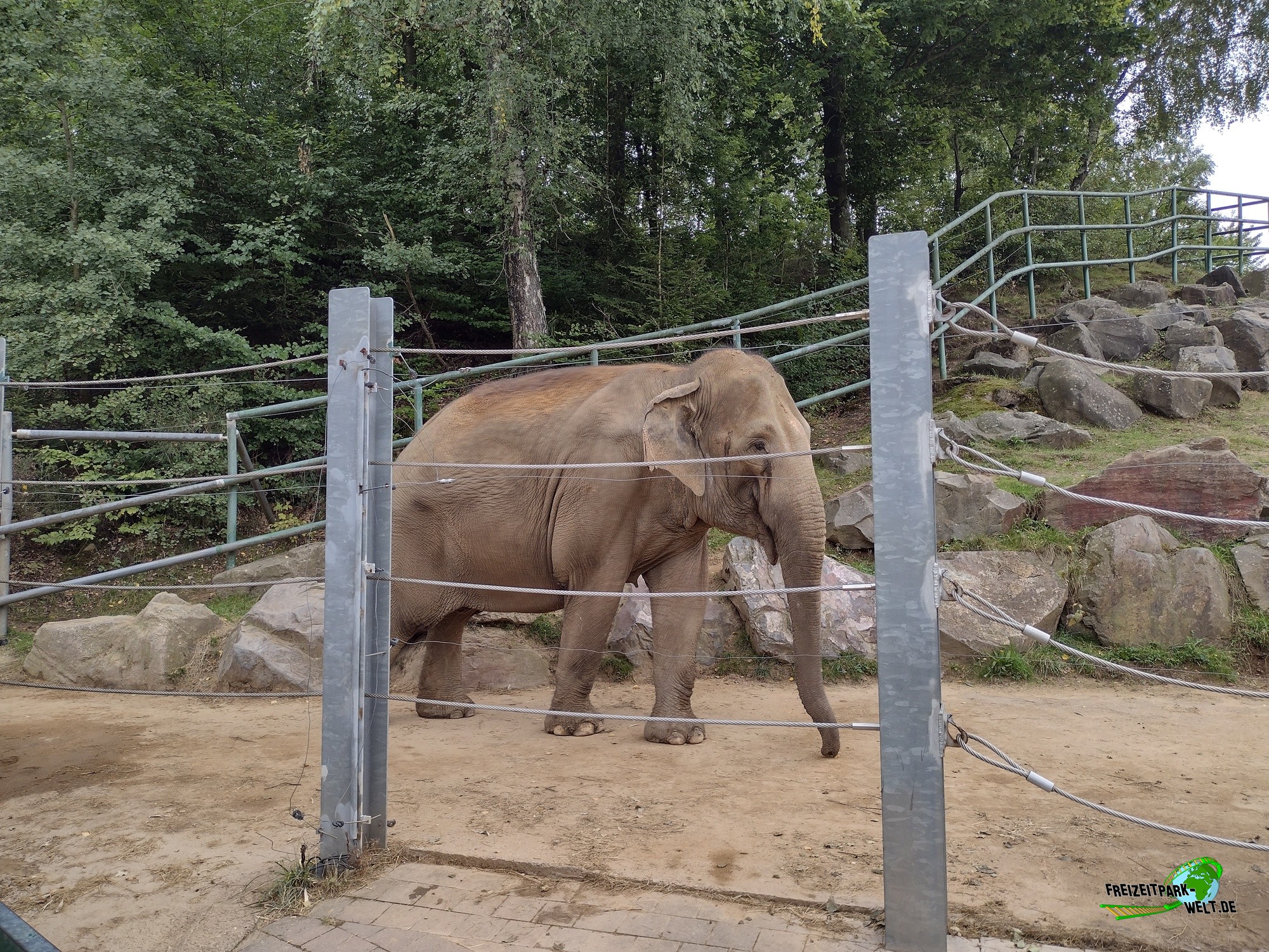 Neukircher Zoo, Zoo Neunkirchen - Highlights & Tipps zum Besuch ...