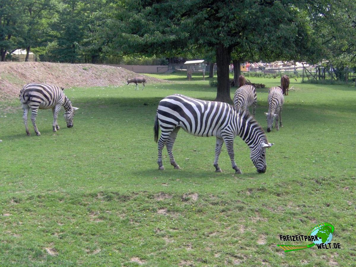Foto Galerie 2015 - Zoo Neuwied | Freizeitpark-Welt.de