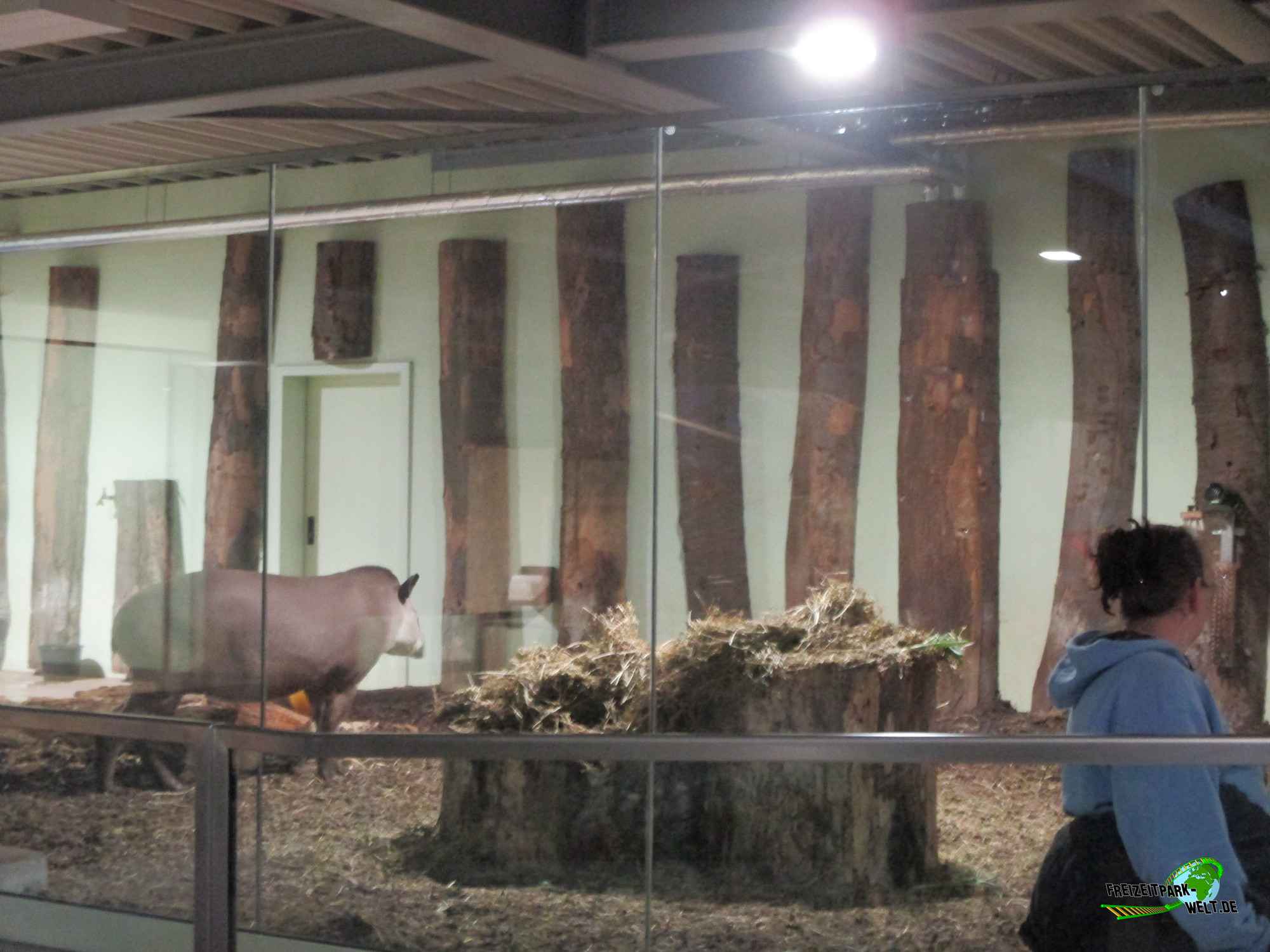 Zoo Neuwied - Highlights & Tipps zum Besuch 2026 | Freizeitpark-Welt.de