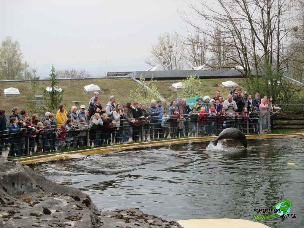 Zoo Neuwied - Highlights & Tipps zum Besuch im Zoo / Tierpark ...