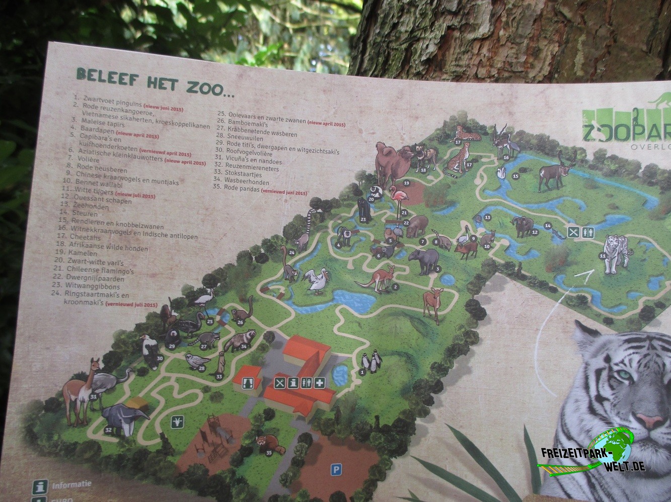 Foto Galerie 2015 - Zoo Parc Overloon | Freizeitpark-Welt.de